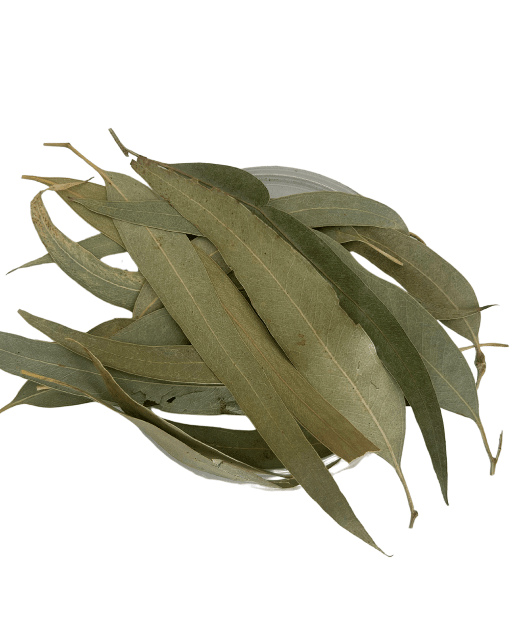 Eucalyptus Leaf Tea for Steaming and Relaxation